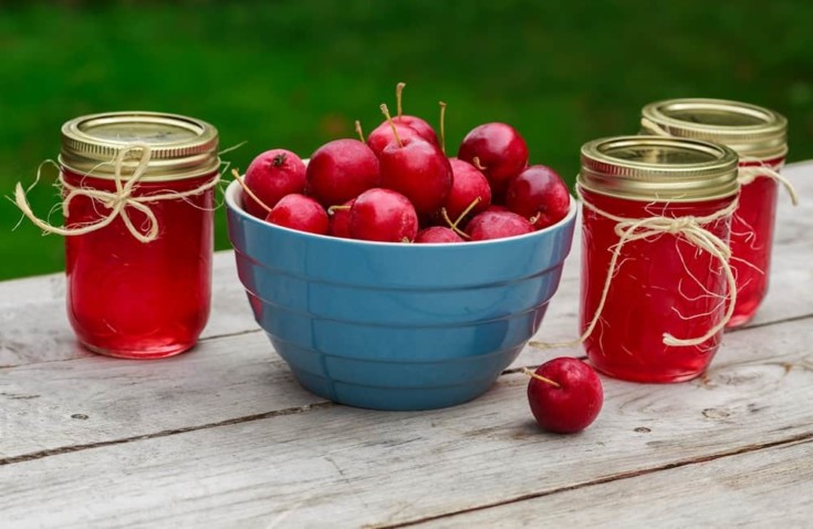 How To Use Crabapples: 15 Delicious Recipes You've Probably Never Tried