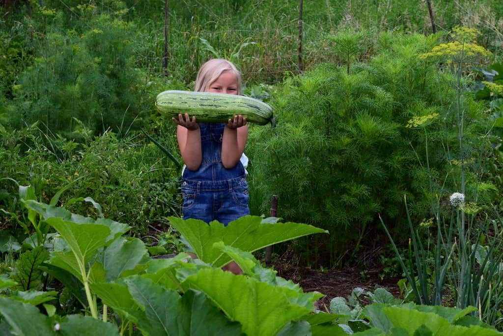 6 Reasons To Start A No Dig Garden + How To Get Started