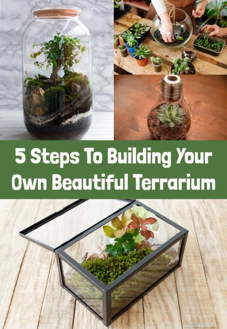 DIY Terrariums: Everything You Need To Know To Build Your Own