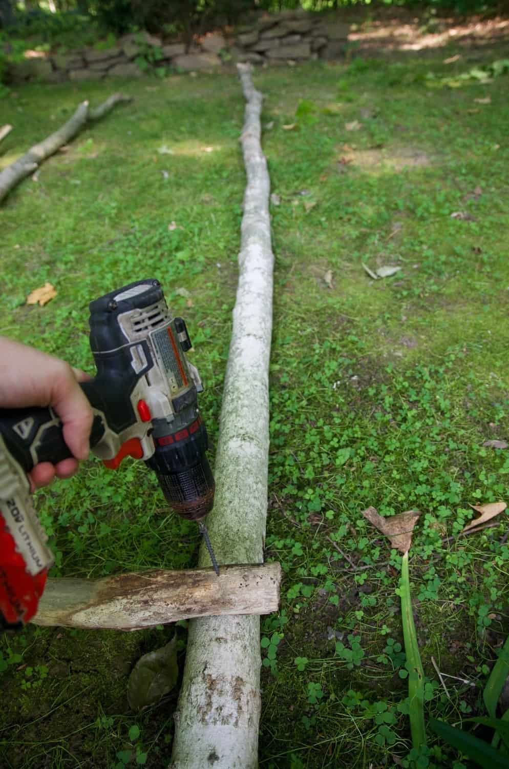 How to Build a Chicken Roost Out of Tree Branches