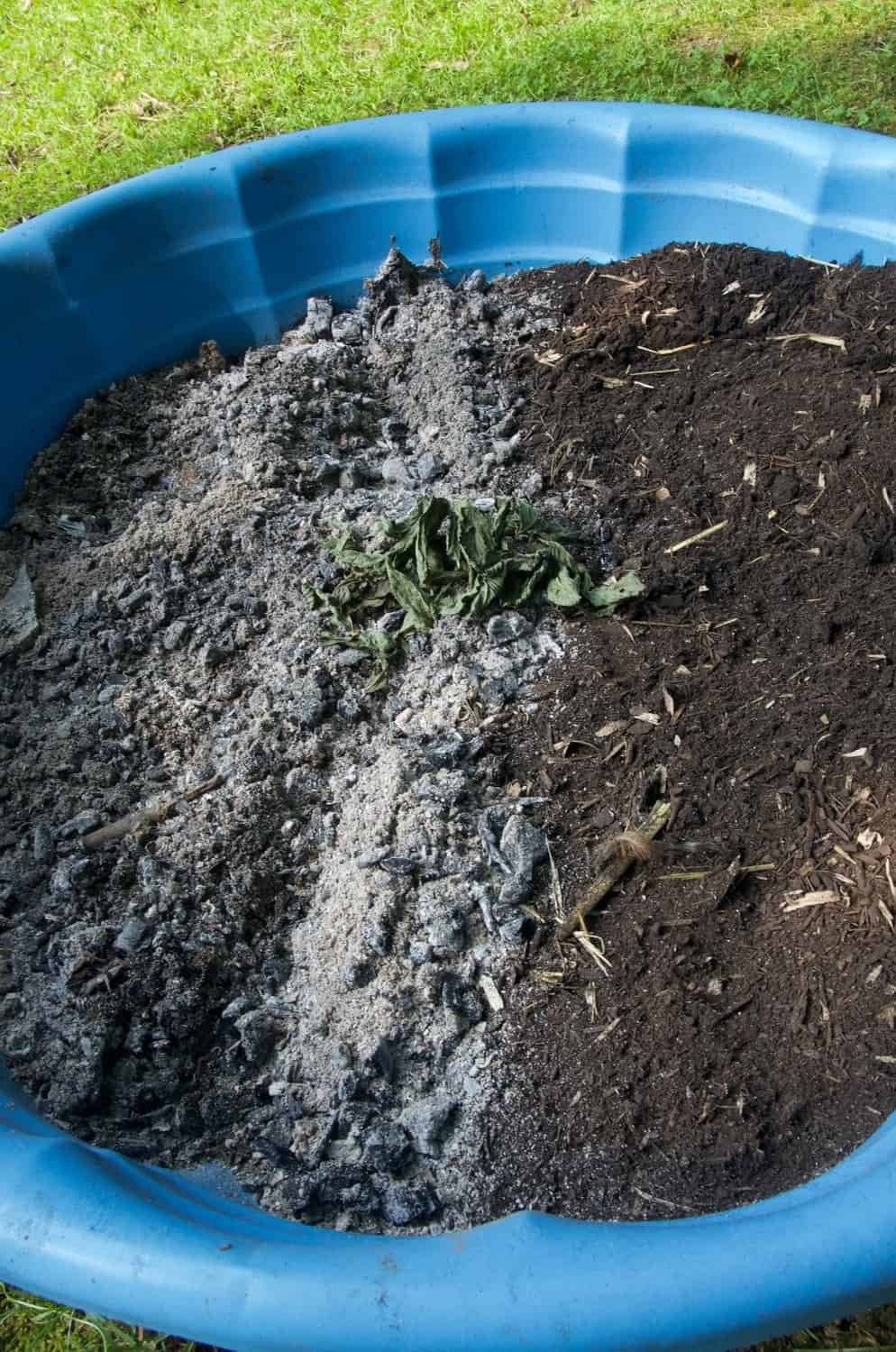 How to Make a Chicken Dust Bath In Just Two Minutes