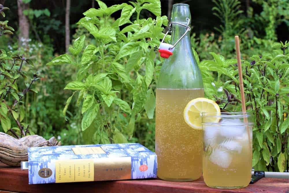 How To Make Traditional Switchel (Haymaker's Punch)