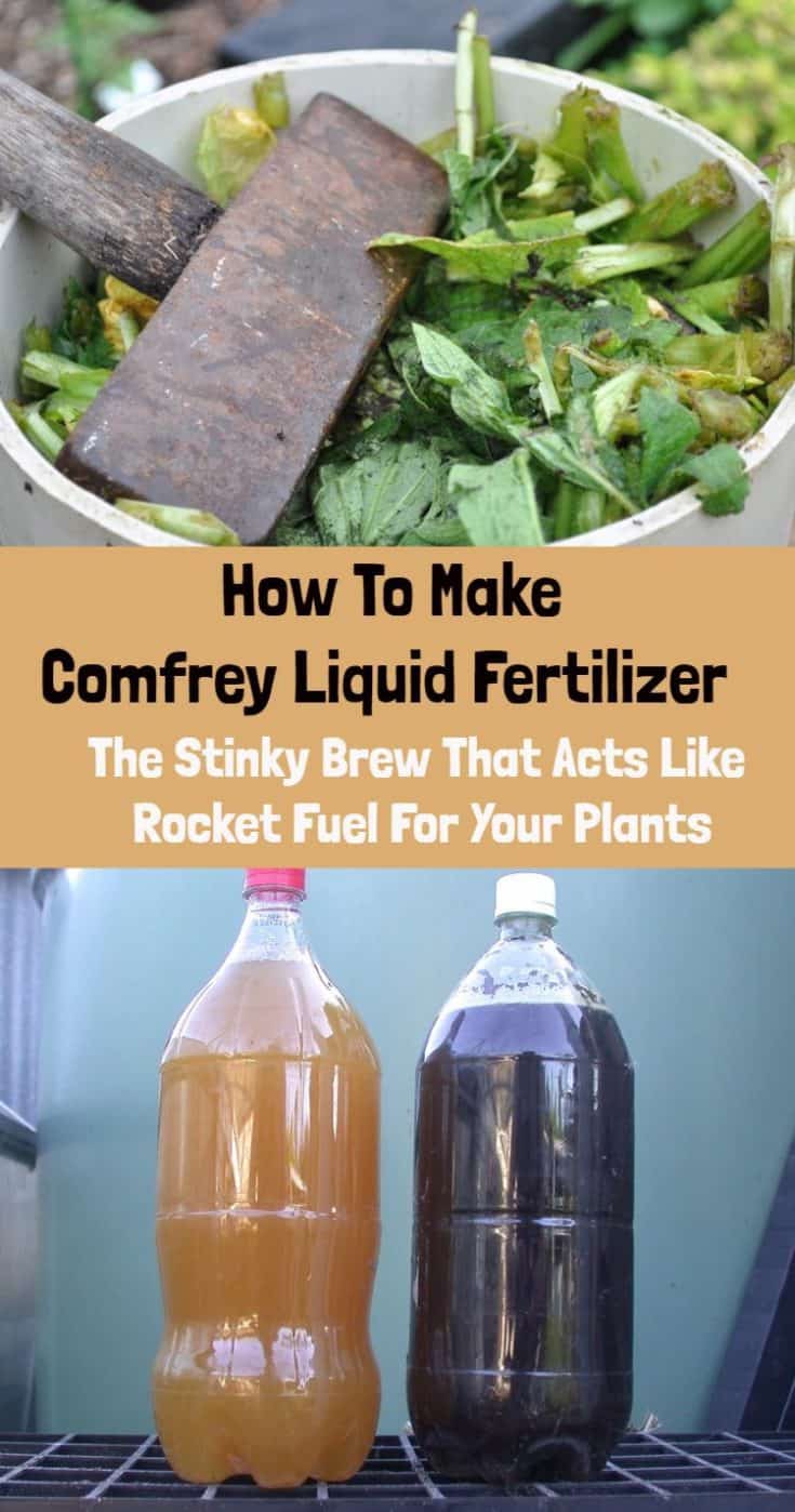 How To Make Comfrey Liquid Fertilizer
