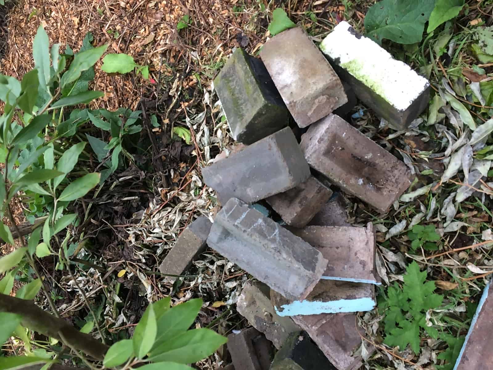 How To Make A Hotbed To Grow Food Through Winter