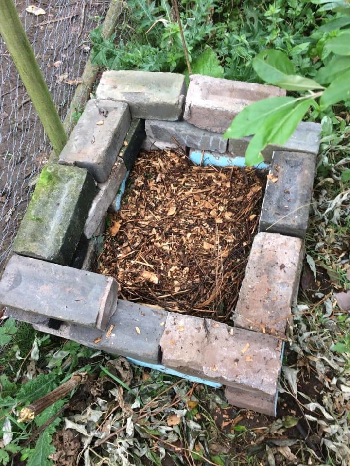 How To Make A Hotbed To Grow Food Through Winter