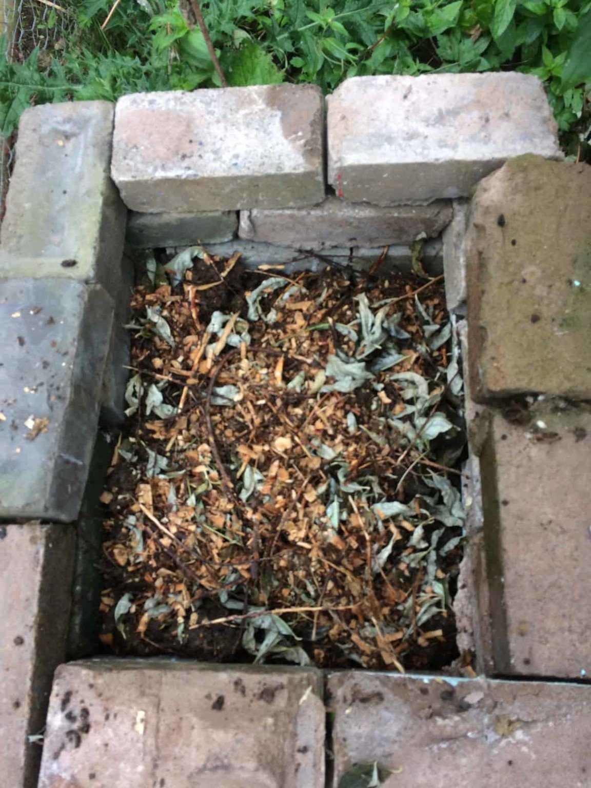 How To Make A Hotbed To Grow Food Through Winter