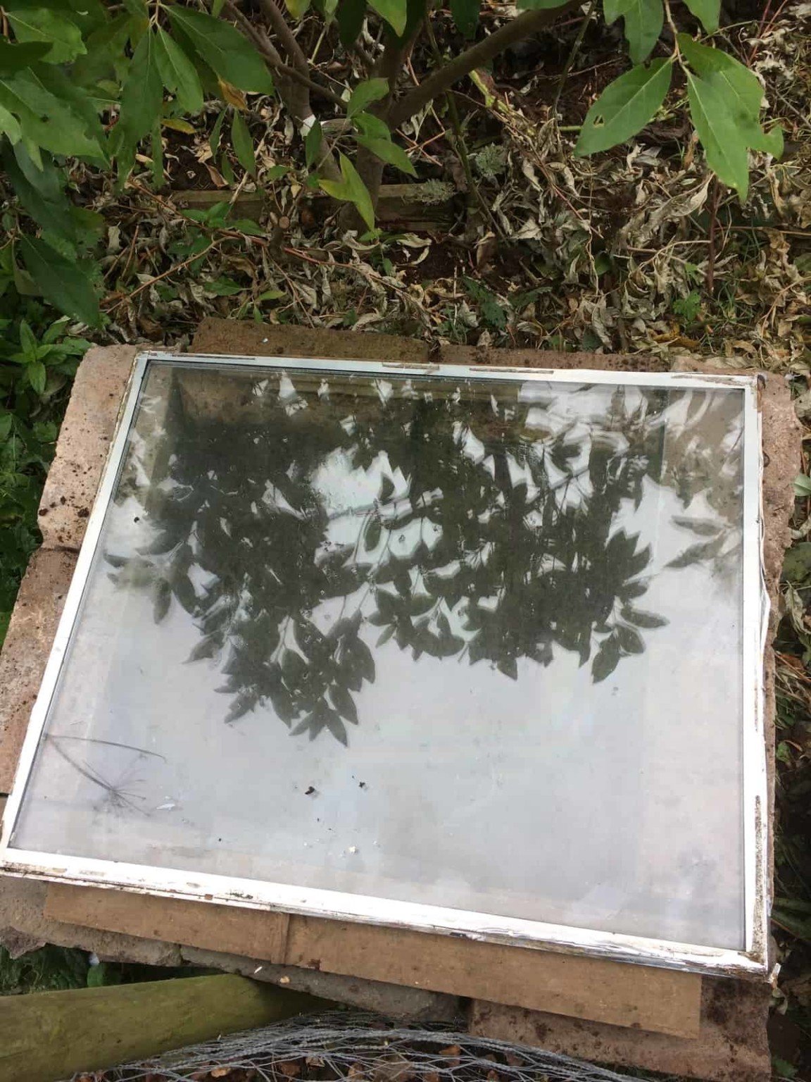 How To Make A Hotbed To Grow Food Through Winter