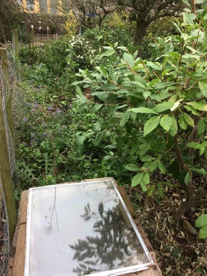 How To Make A Hotbed To Grow Food Through Winter