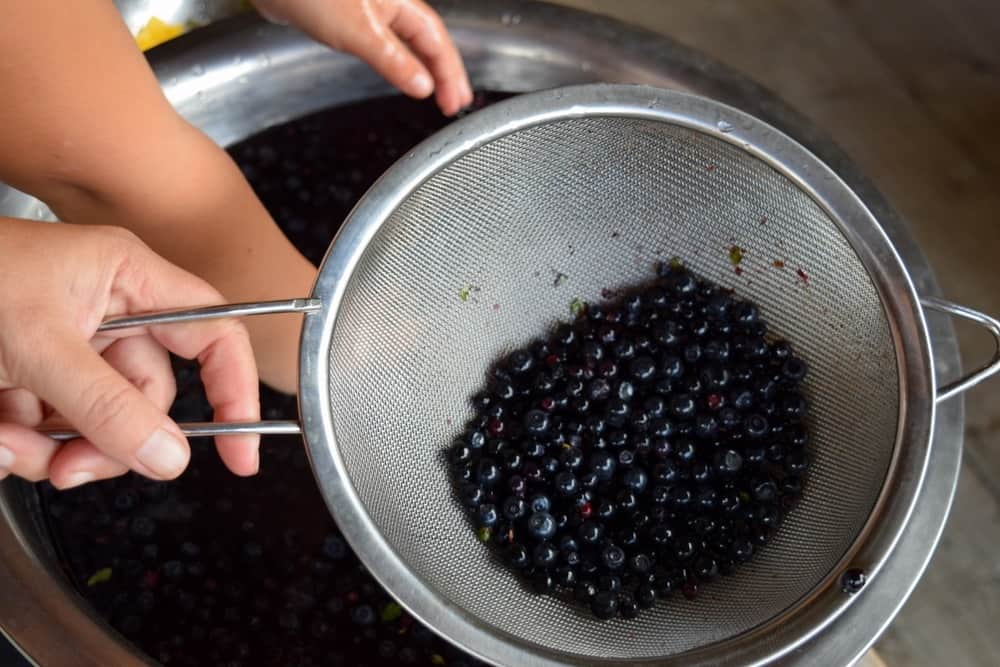Wild Bilberry Syrup With Honey - Try This With Blueberries Too!