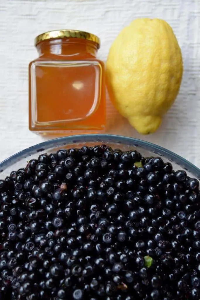 Wild Bilberry Syrup With Honey - Try This With Blueberries Too!