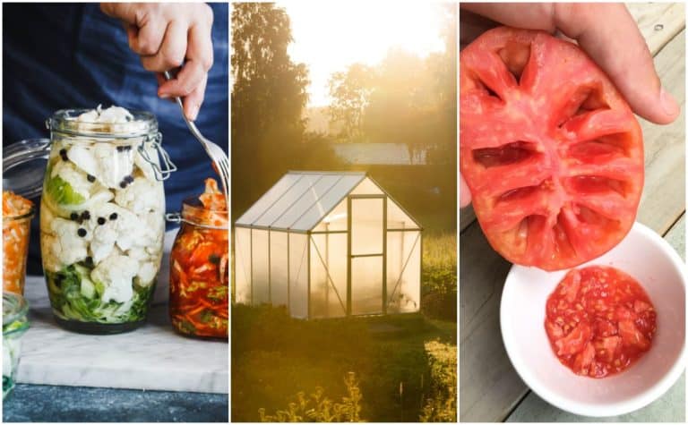45 Self-Reliant Skills Every Homesteader Needs To Know