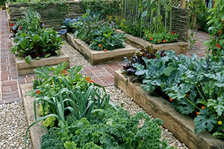 45 Self-Reliant Skills Every Homesteader Needs To Know