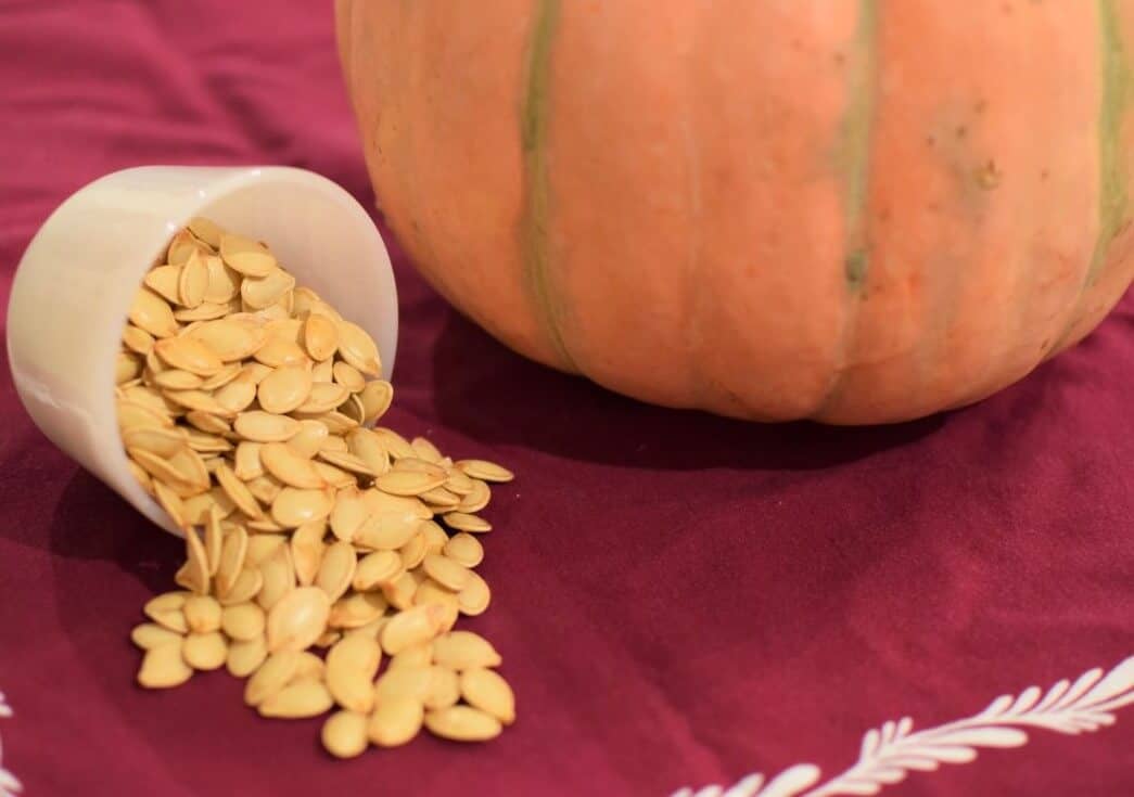 Pumpkin Seeds - How to Save and How to Toast