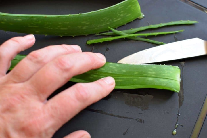 Aloe Vera Gel: How To Harvest It and 20 Ways To Use It