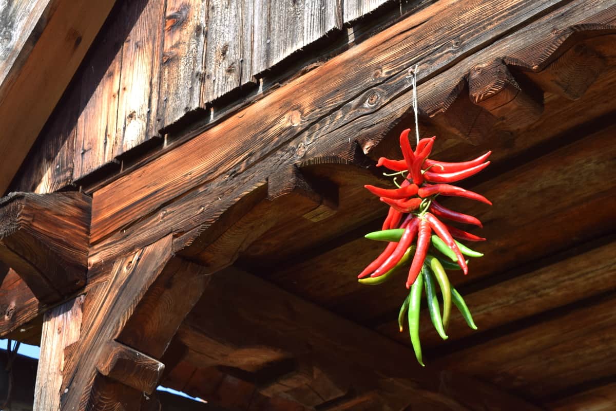 3 Easy Ways To Dry Hot Peppers