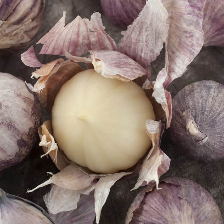 Elephant Garlic: How To Grow & Use It