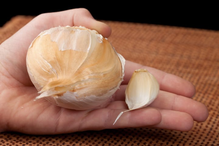 Elephant Garlic: How To Grow & Use It