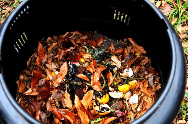 5 Uses for Fall Leaves In The Garden & On The Homestead