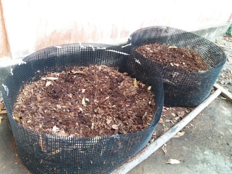 How To Make Leaf Mold: Turn Fallen Leaves Into Gardener's Gold