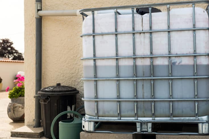How to Set Up a Rainwater Collection System & 8 DIY Ideas