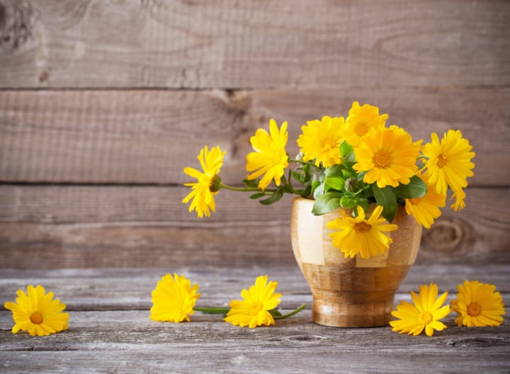 10 Reasons To Grow Calendula and 15 Calendula Recipes