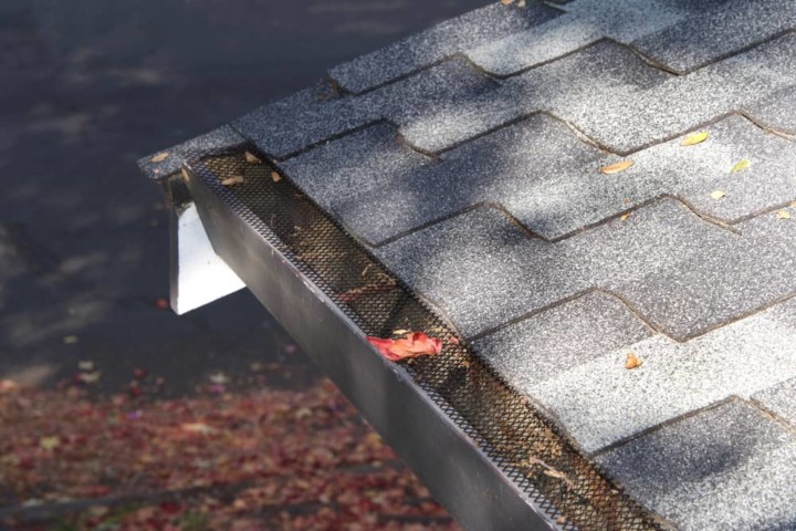 How to Set Up a Rainwater Collection System & 8 DIY Ideas