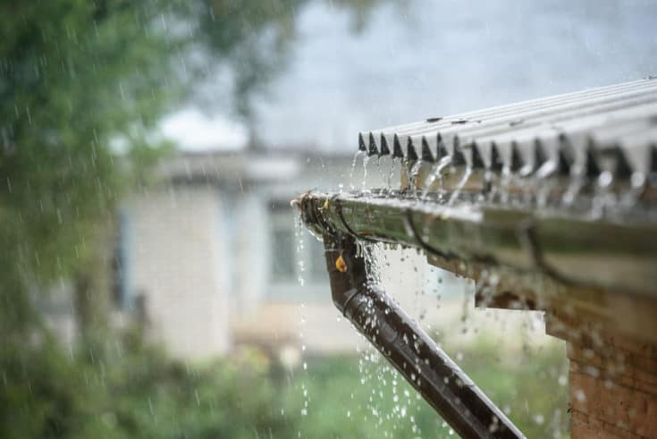 How to Set Up a Rainwater Collection System & 8 DIY Ideas