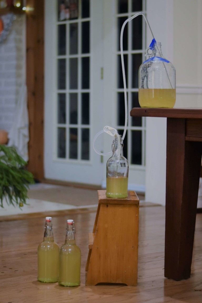 How to Make Your First Gallon of Mead
