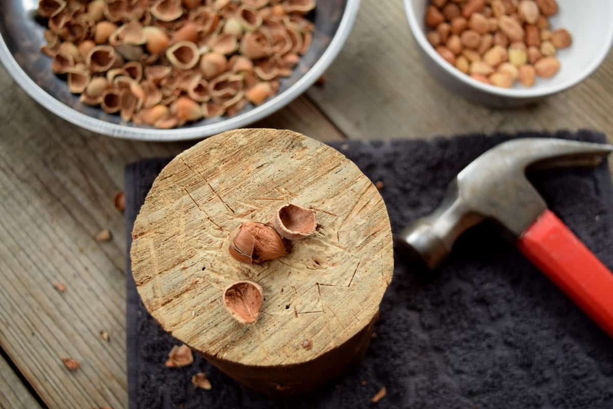 The Easiest Way to Bulk Peel Hazelnuts + 7 Ways to Use Them