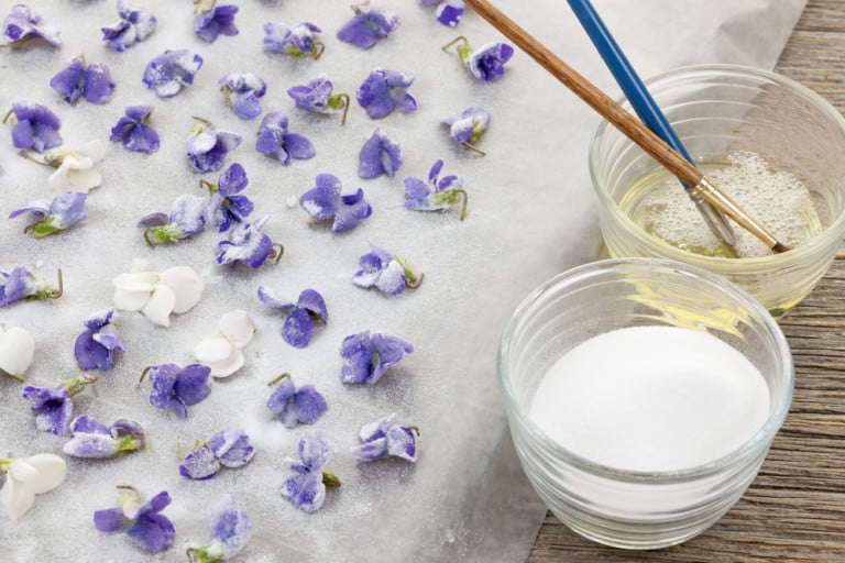 30 Edible Flowers You Can Eat Right Out Of Your Garden