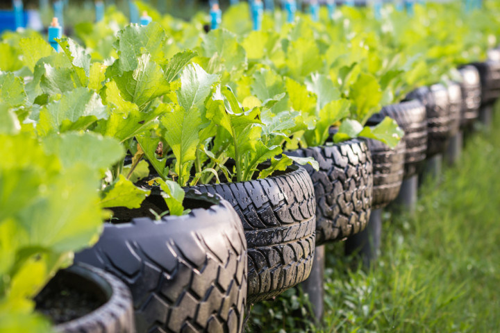 35 Ways To Upcycle Old Tires In The Garden