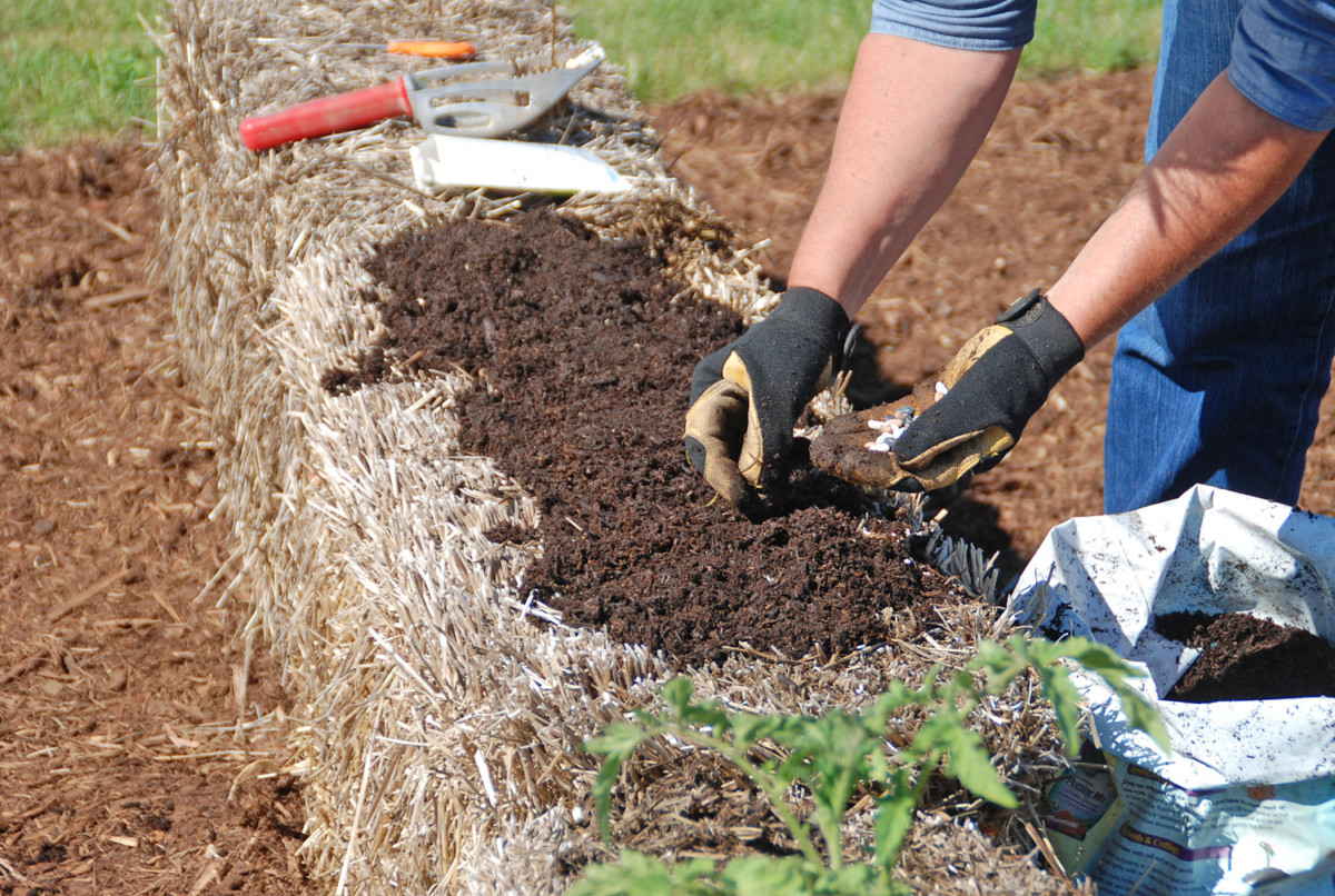 Straw Bale Gardening: A Genius & Easy Way To Grow Food