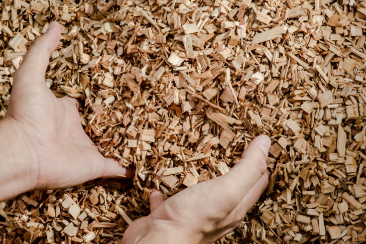 20 Uses For Wood Chip In The Garden & Homestead