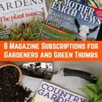 8 Magazine Subscriptions for Gardeners and Green Thumbs