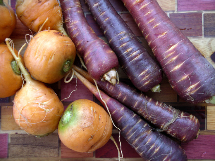 Buying Garden Seeds: Everything You Need To Know
