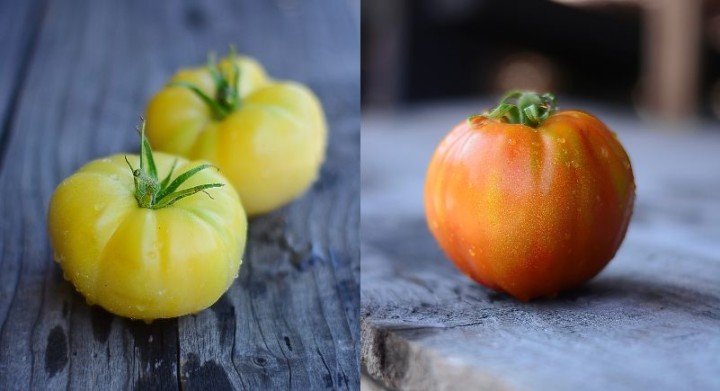 10 Coolest Heirloom Tomatoes To Grow This Year