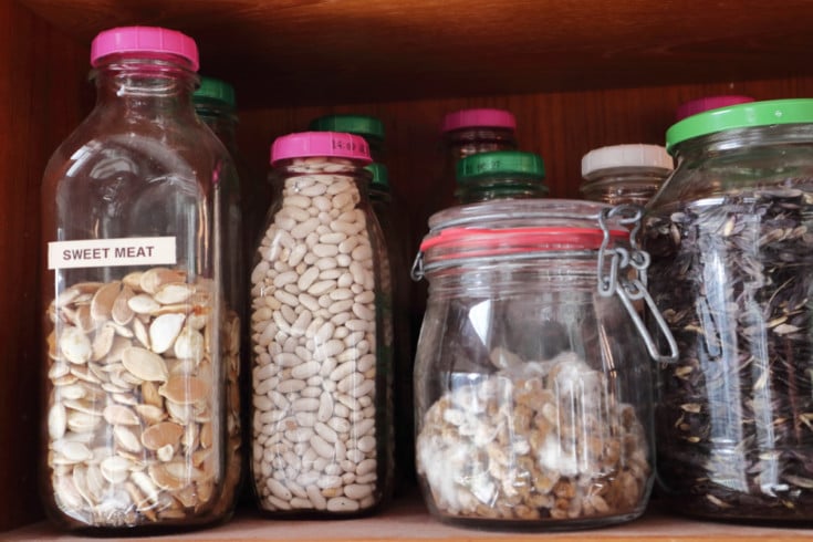 Buying Garden Seeds: Everything You Need To Know