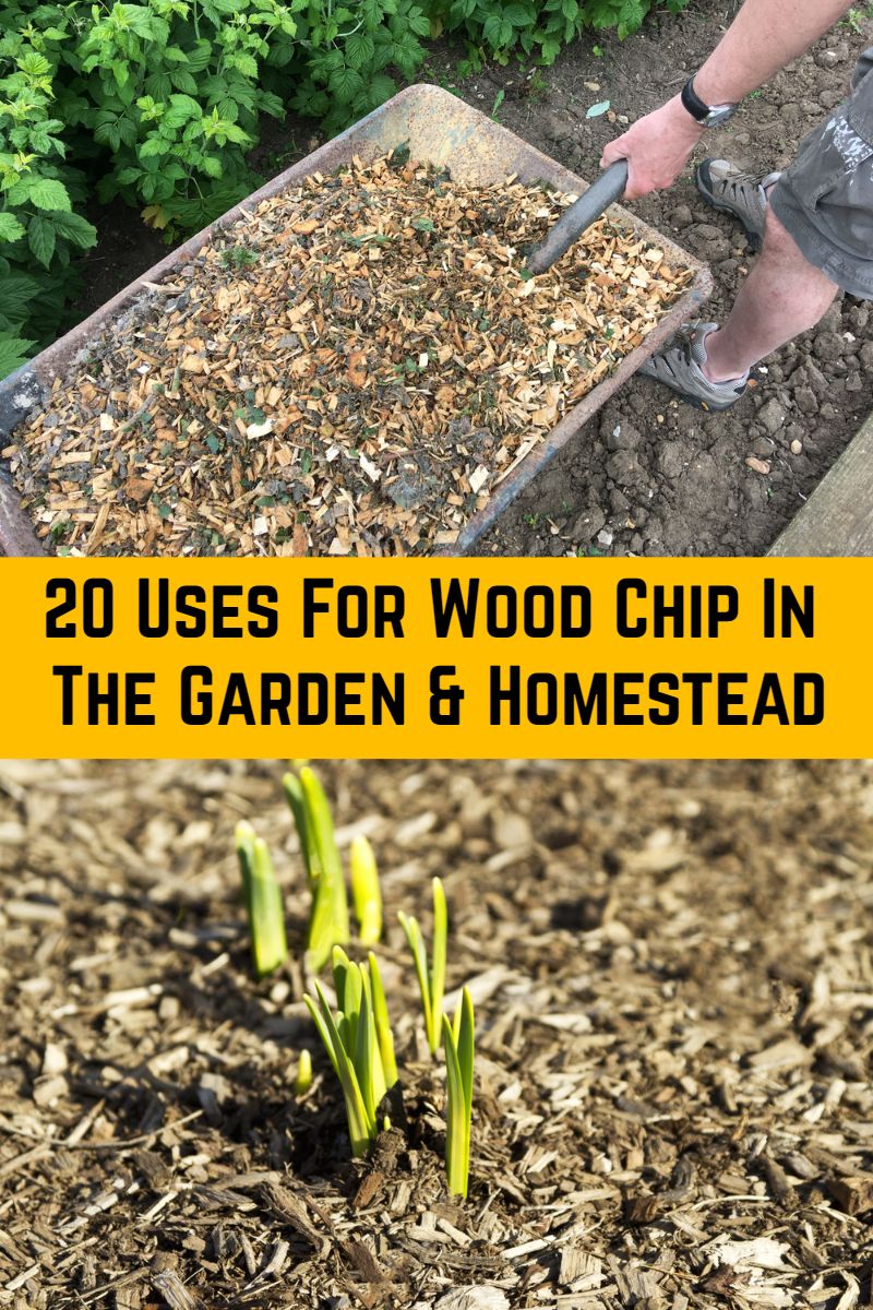 20 Uses For Wood Chip In The Garden & Homestead