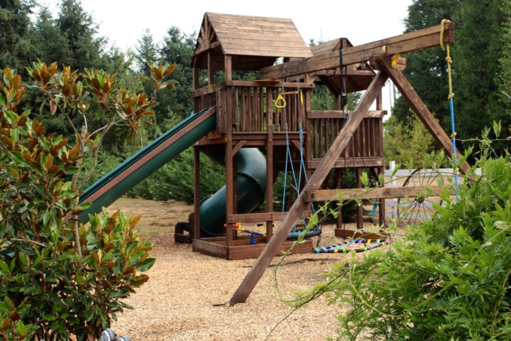 20 Uses For Wood Chip In The Garden & Homestead