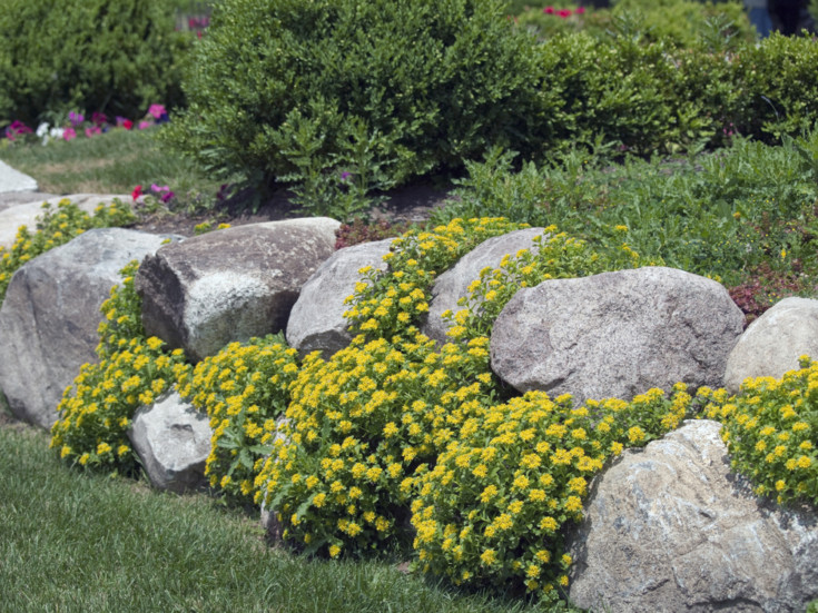 45 Seriously Cool Garden Bed Edging Ideas