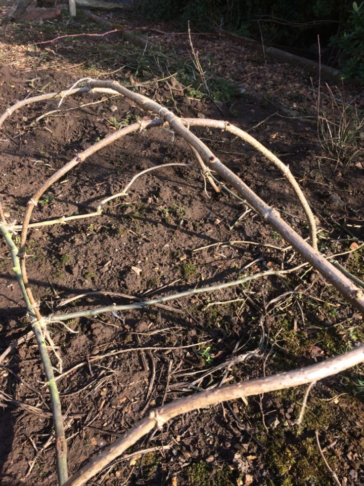 How To Make a Row Cover Frame From Branches