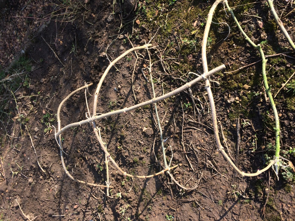 How To Make a Row Cover Frame From Branches