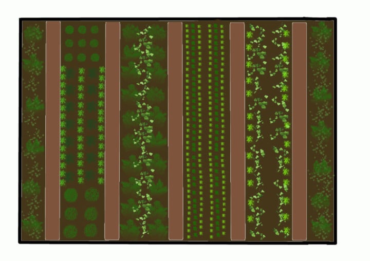 7 Vegetable Garden Layout Ideas To Grow More Food In Less Space