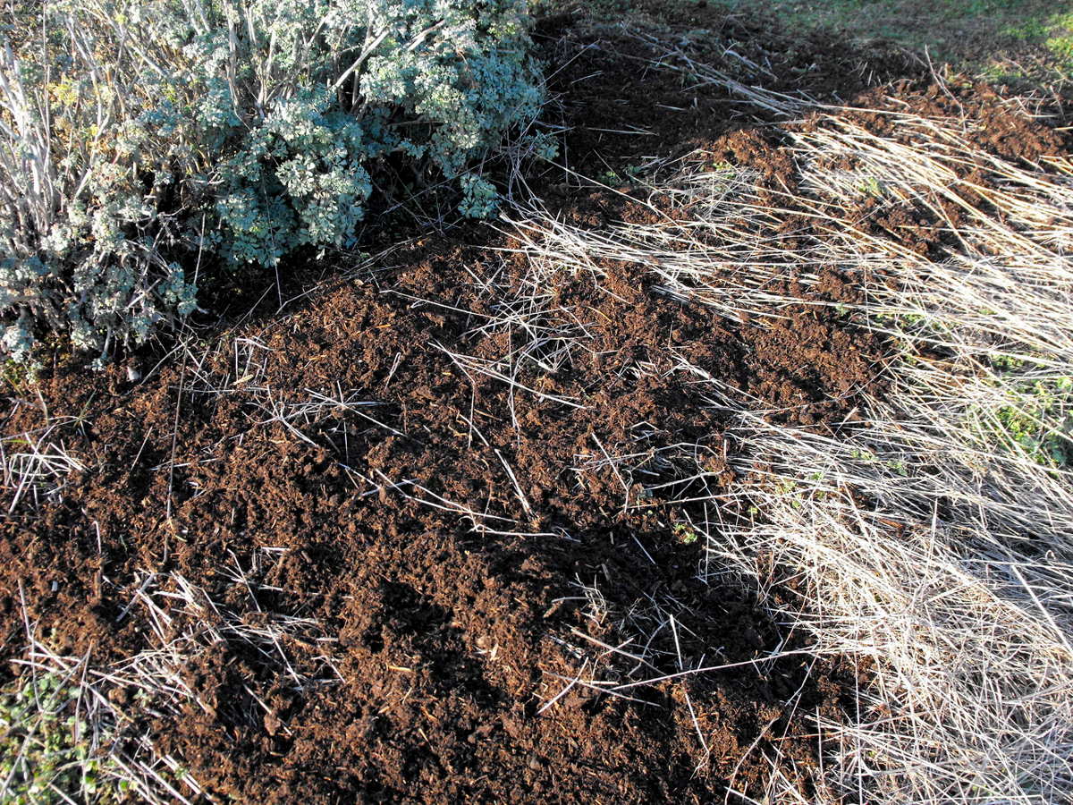 Compost Toilet: How We Turned Human Waste Into Compost & How You Can Too