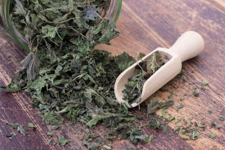 11 Non-Stinging Ways To Use Nettle