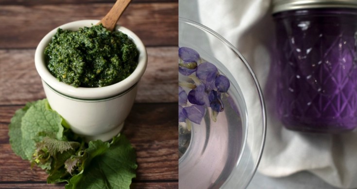 5 Delicious Recipes For 5 Easy To Forage Plants