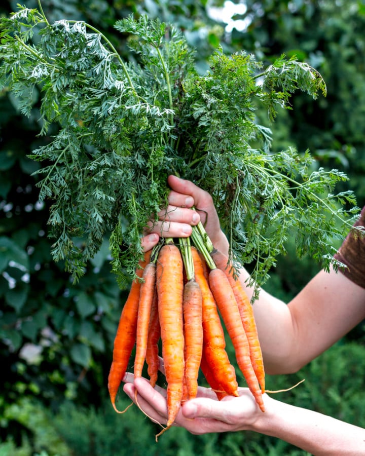 35 High Yielding Fruits And Vegetables For Huge Harvests