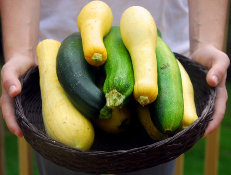 35 High Yielding Fruits And Vegetables For Huge Harvests