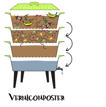 Vermicomposting – How To Start Your Own Worm Bin