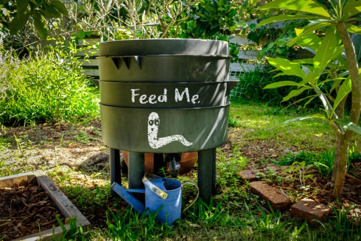 Vermicomposting – How To Start Your Own Worm Bin